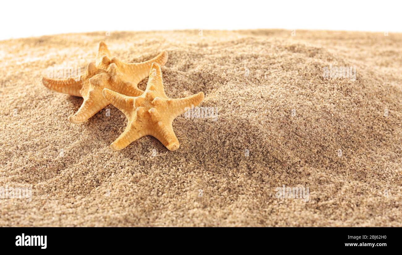 Sea stars and shells on sand isolated on white background Stock Photo ...