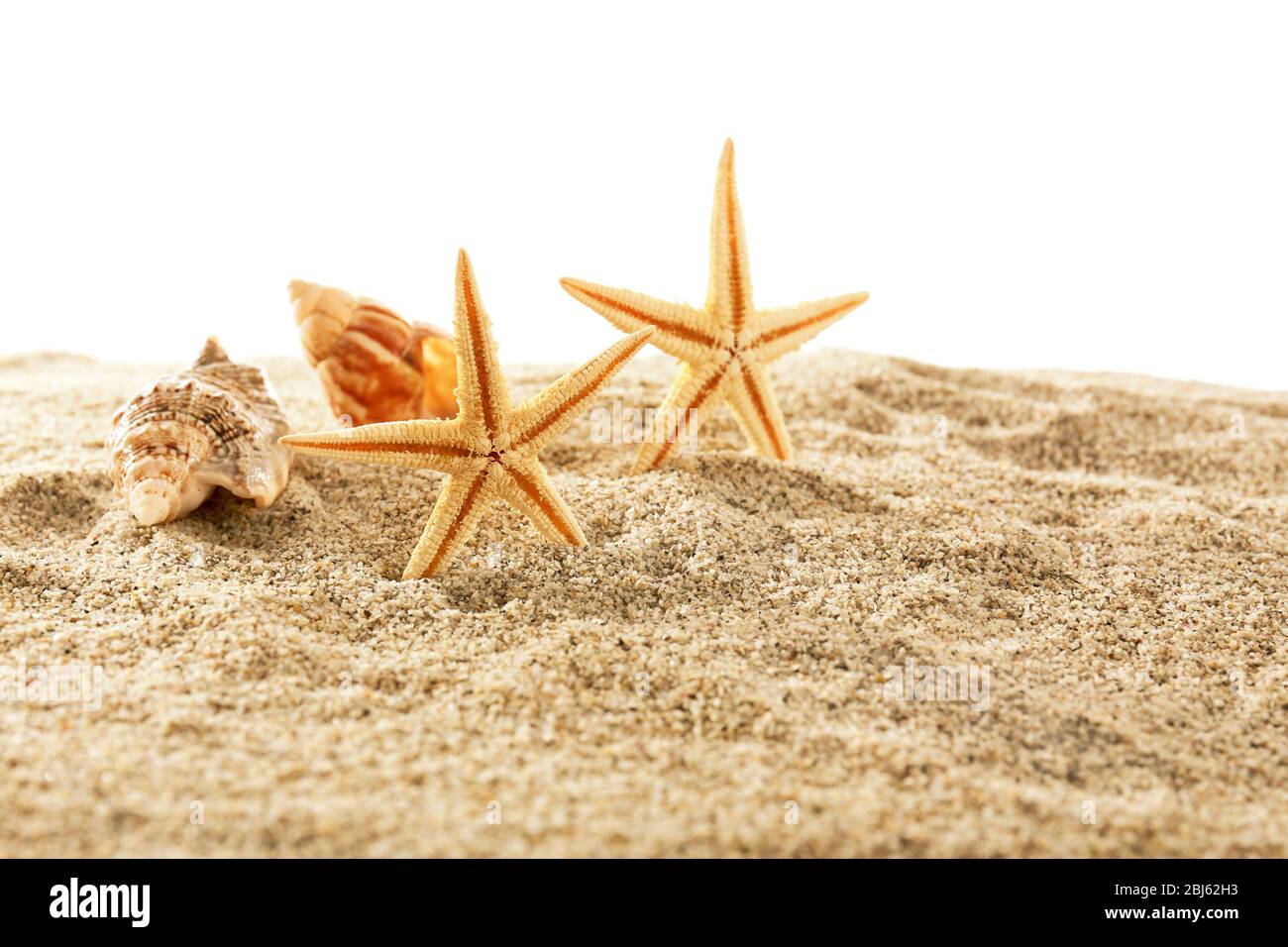 Sea stars and shells on sand isolated on white background Stock Photo ...