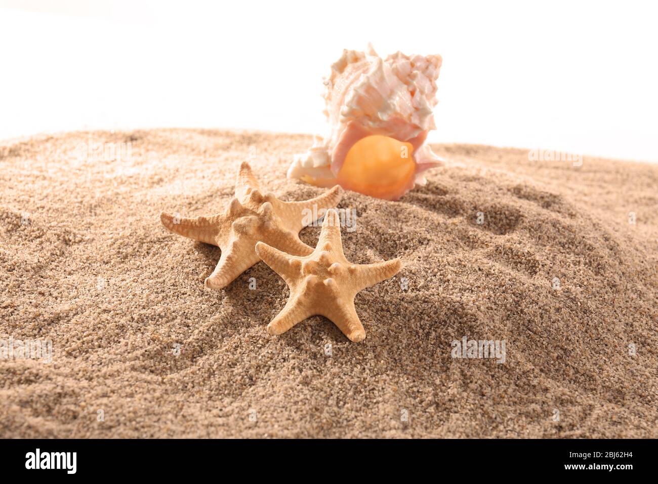 Sea stars and shells on sand isolated on white background Stock Photo ...