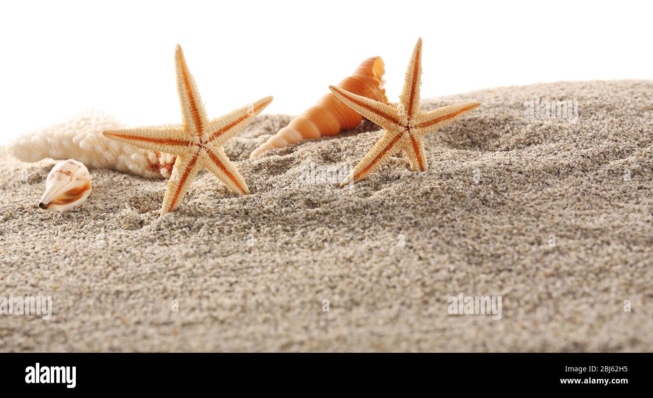 Sea stars and shells on sand isolated on white background Stock Photo ...