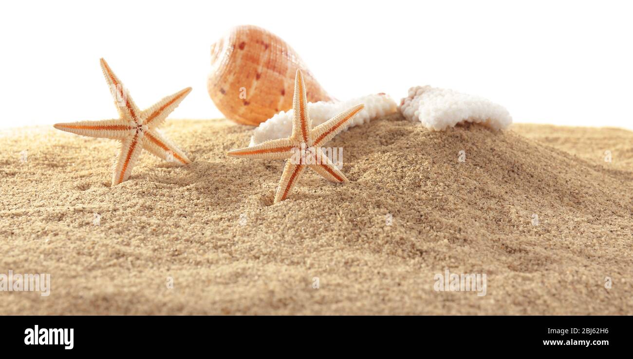 Sea stars and shells on sand isolated on white background Stock Photo ...