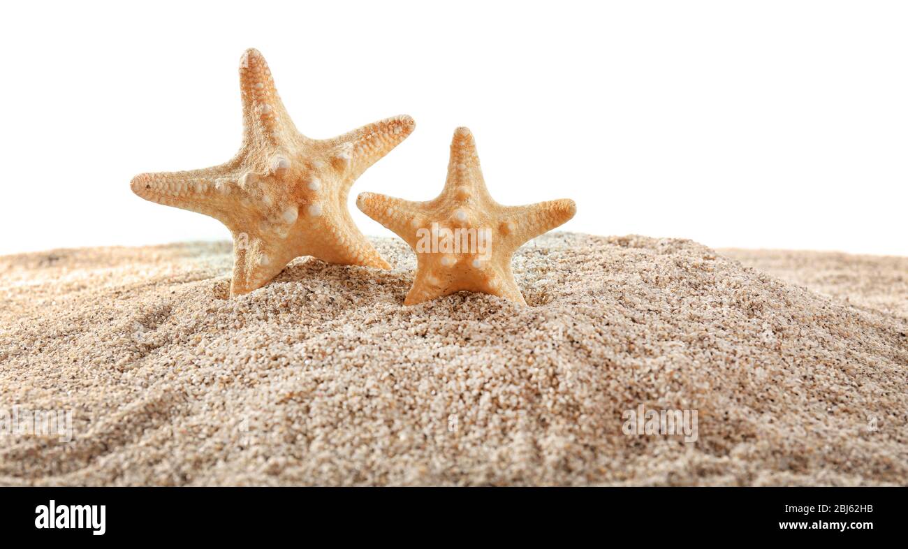 Sea stars and shells on sand isolated on white background Stock Photo ...