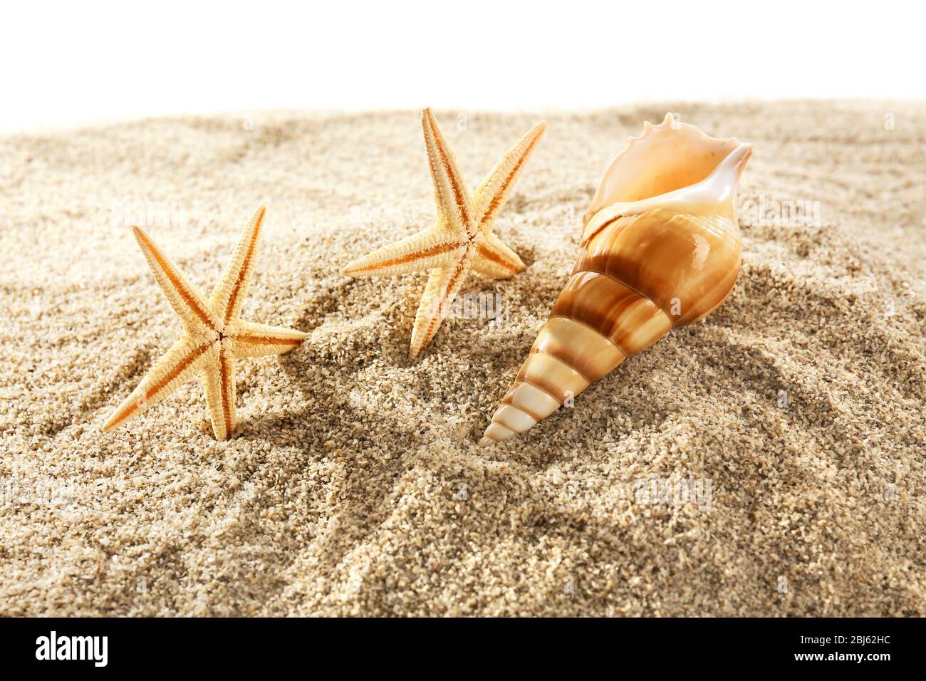 Sea stars and shells on sand isolated on white background Stock Photo ...