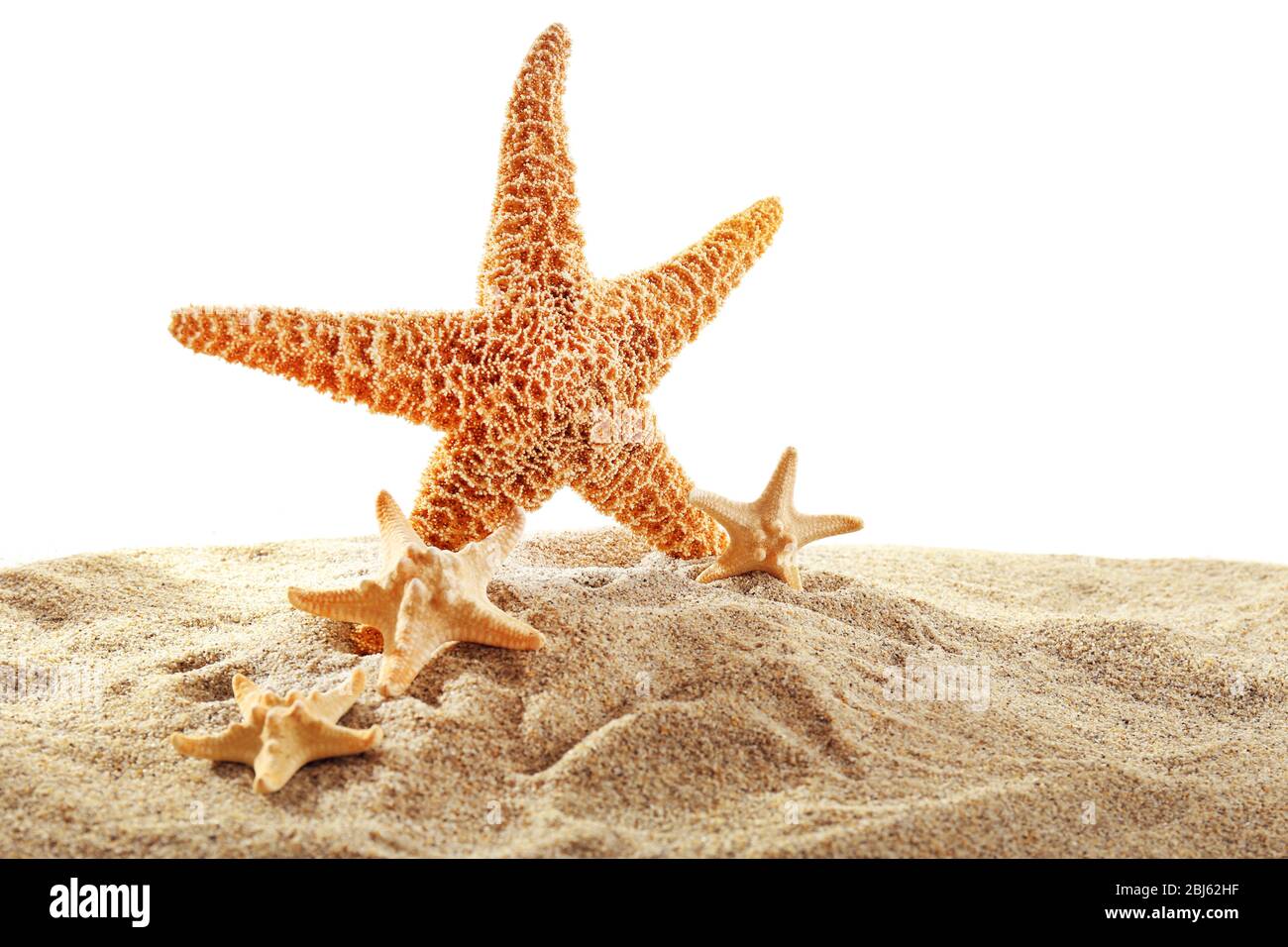Sea star and shells isolated on white background Stock Photo - Alamy