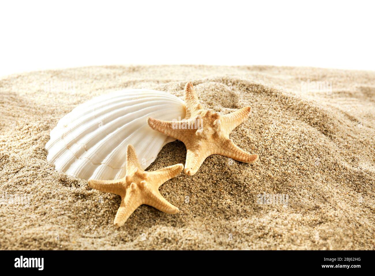 Sea stars and shell on sand isolated on white background Stock Photo ...