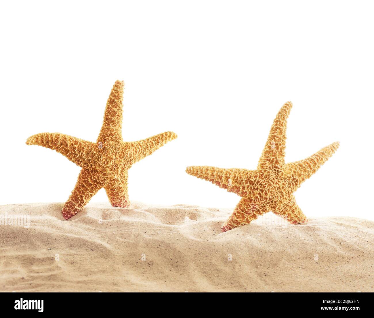 Sea stars on sand isolated on white Stock Photo - Alamy
