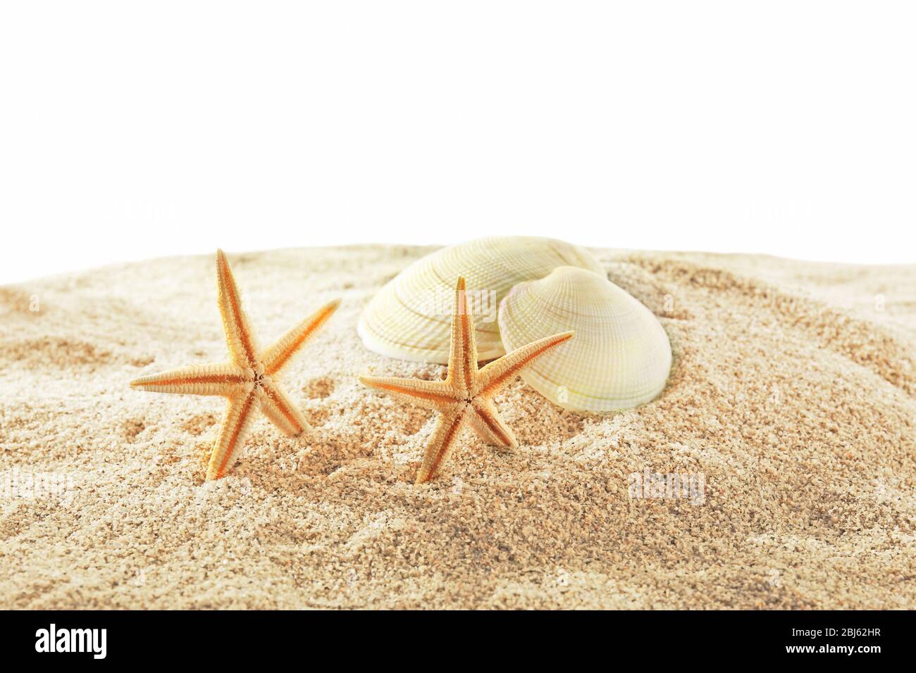 Sea stars and shells on sand isolated on white background Stock Photo ...