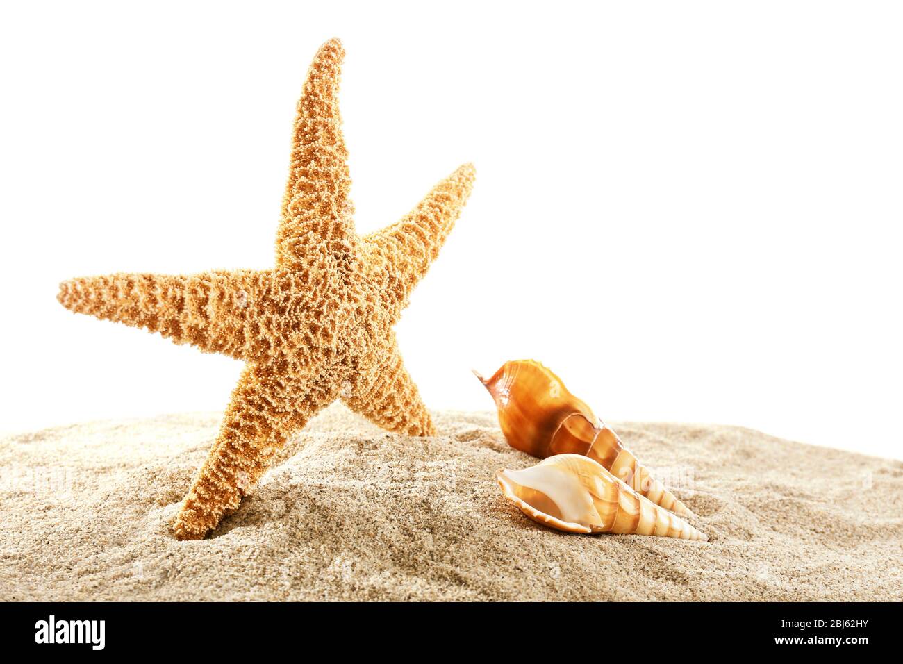 Sea star and shells isolated on white background Stock Photo - Alamy