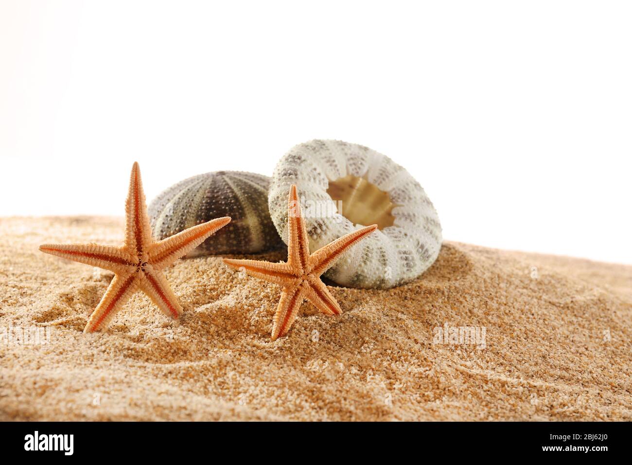 Sea stars and shells on sand isolated on white background Stock Photo ...