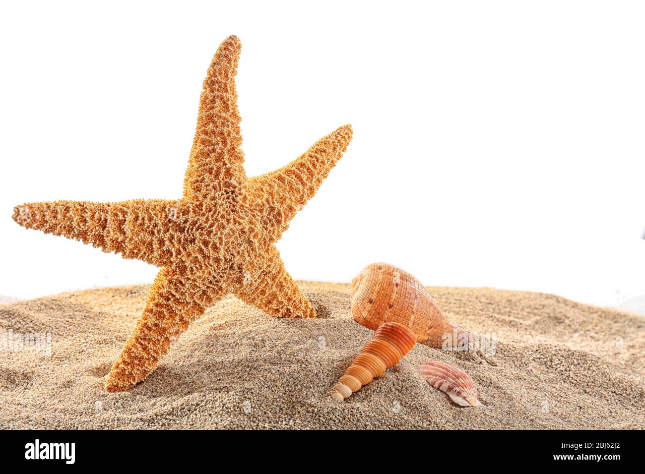 Sea star and shells isolated on white background Stock Photo - Alamy