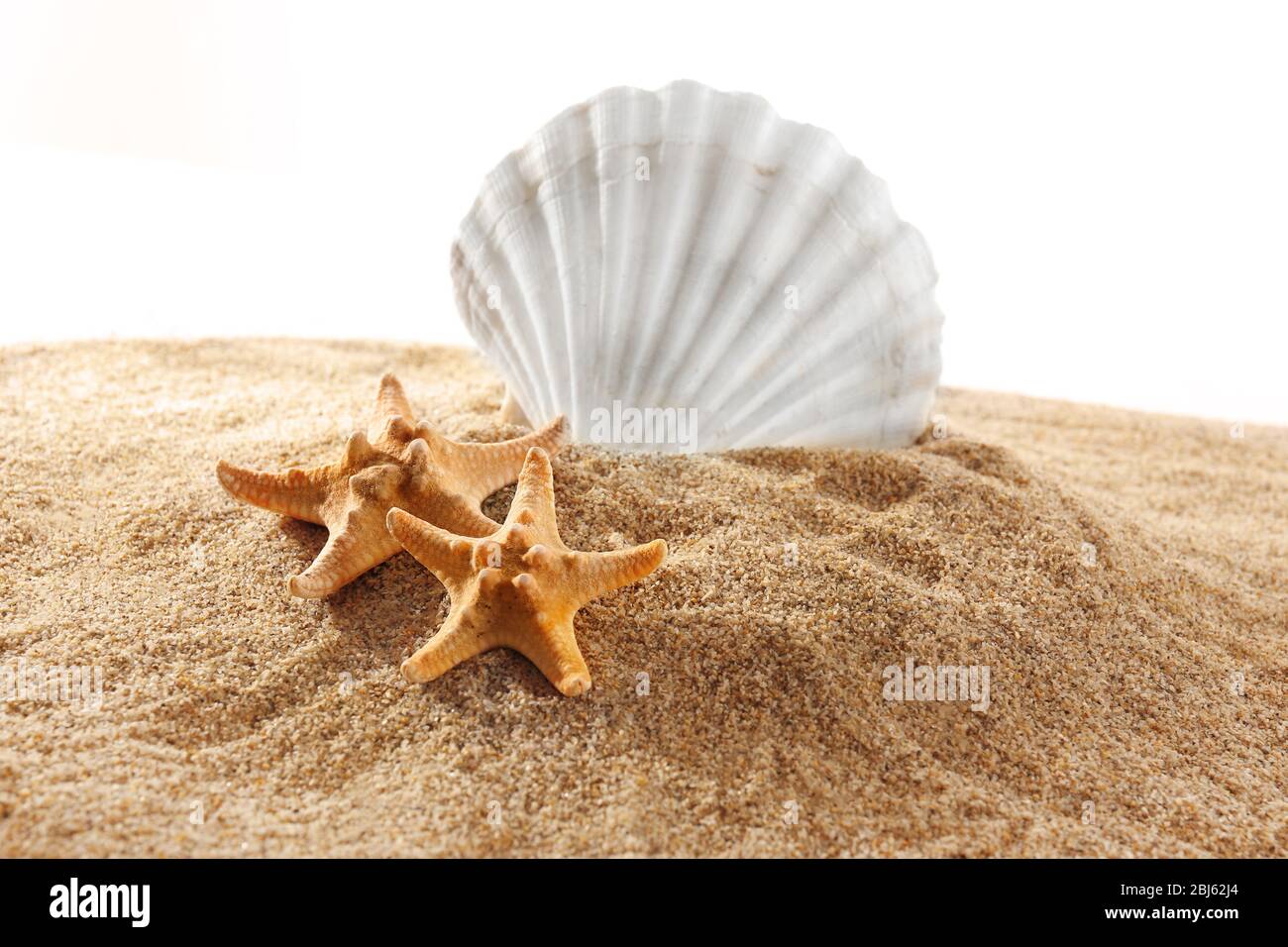 Sea stars and shell on sand isolated on white background Stock Photo ...