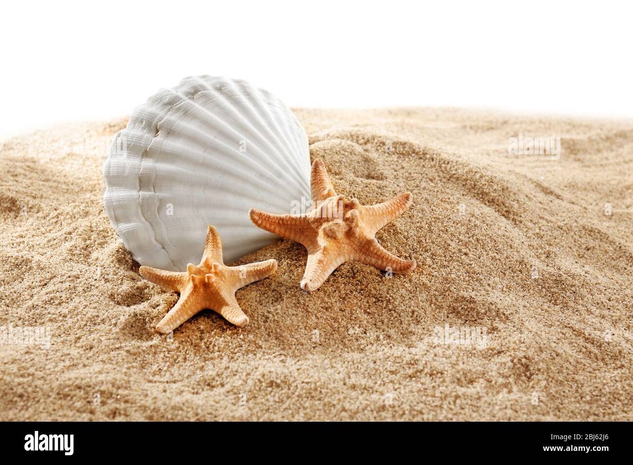 Sea stars and shell on sand isolated on white background Stock Photo ...