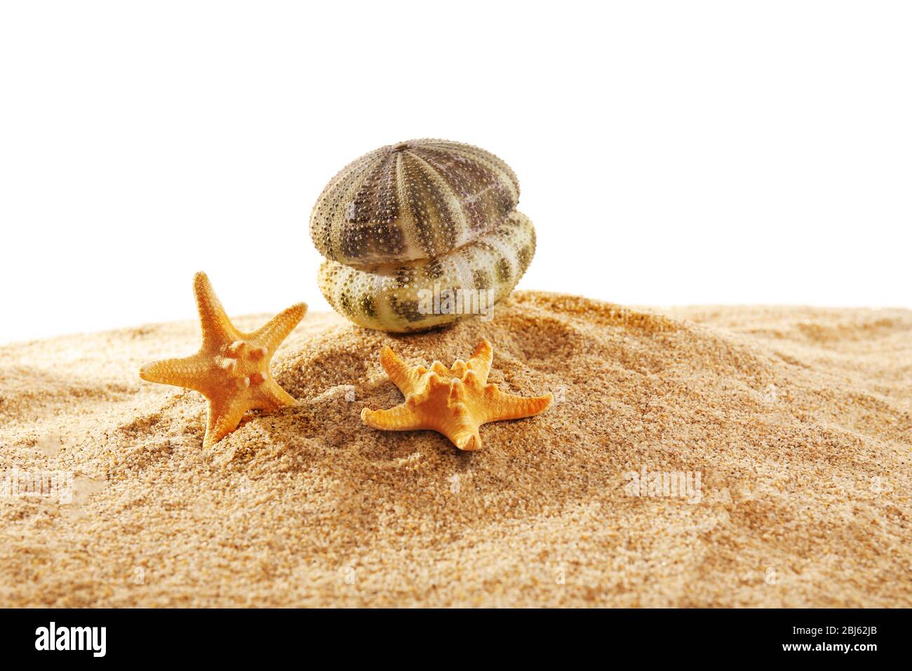 Sea stars and shells isolated on white background Stock Photo - Alamy