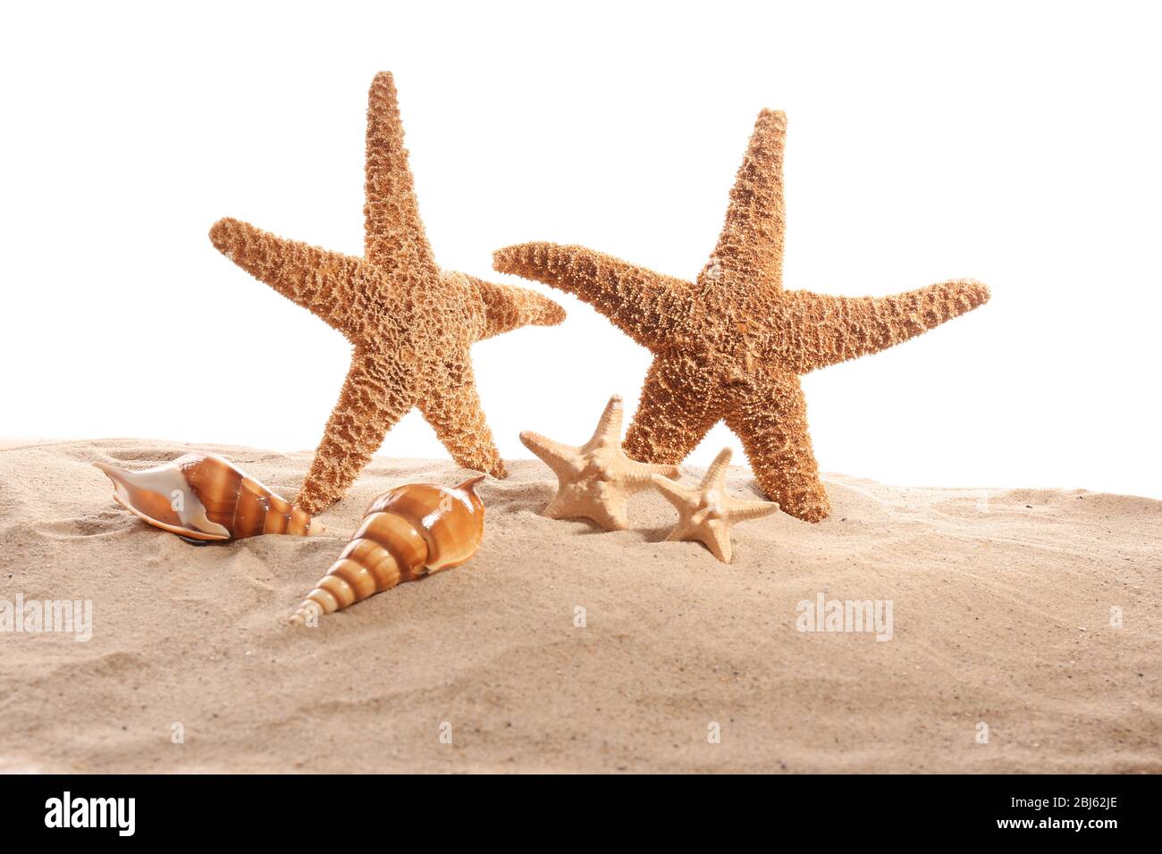 Sea stars and sea shells on sand isolated on white background Stock ...