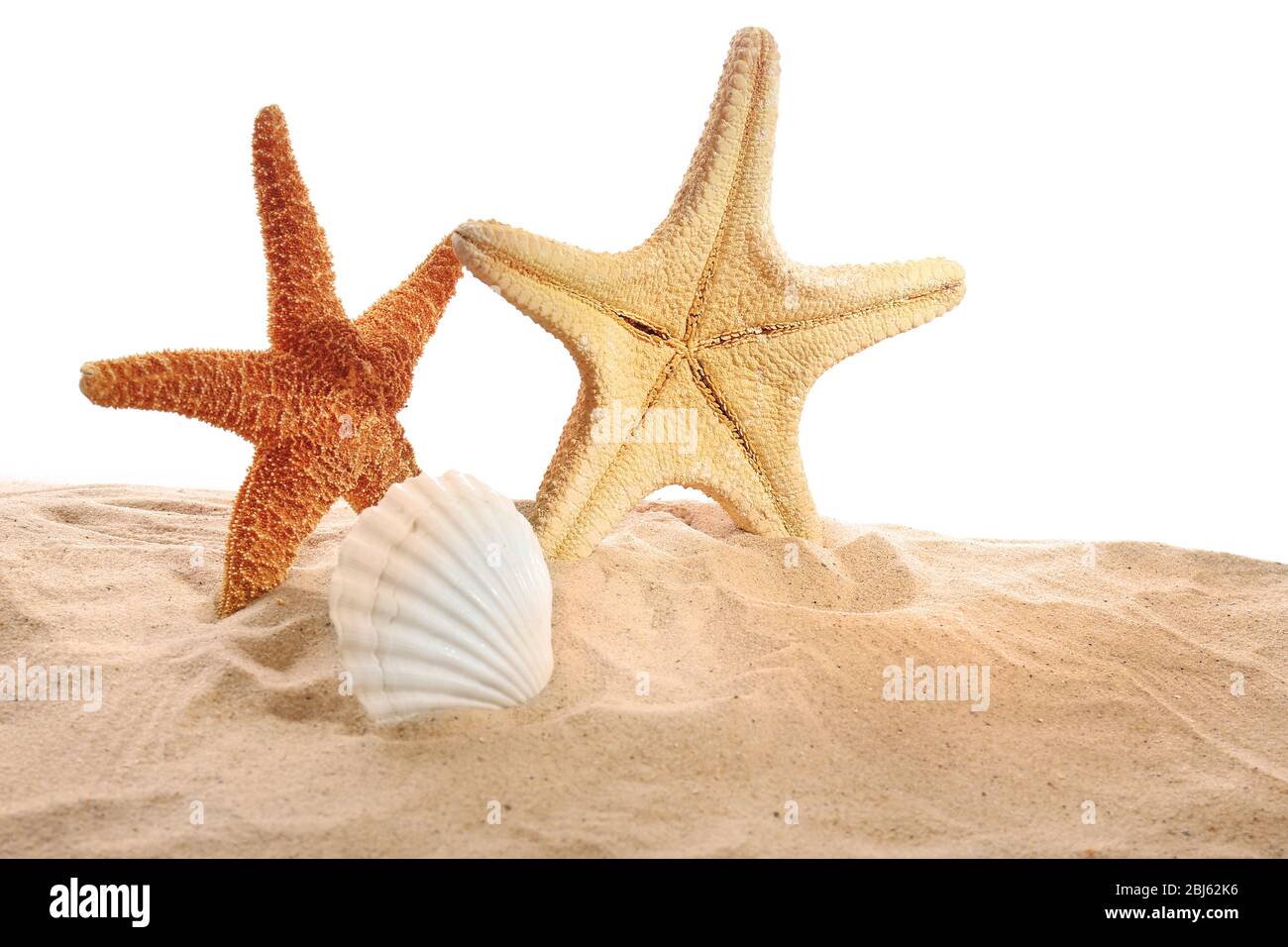 Sea stars and sea shells on sand isolated on white background Stock ...