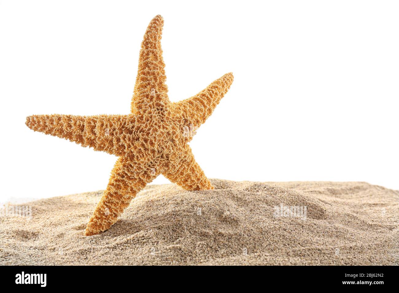 Sea star on sand isolated on white Stock Photo - Alamy