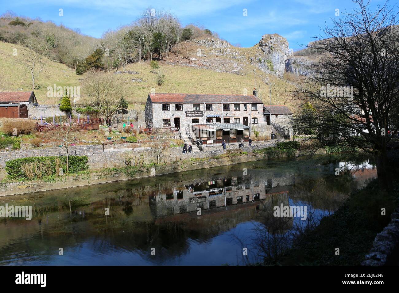 Cheddar Gorge is a limestone gorge in the Mendip Hills , near the ...