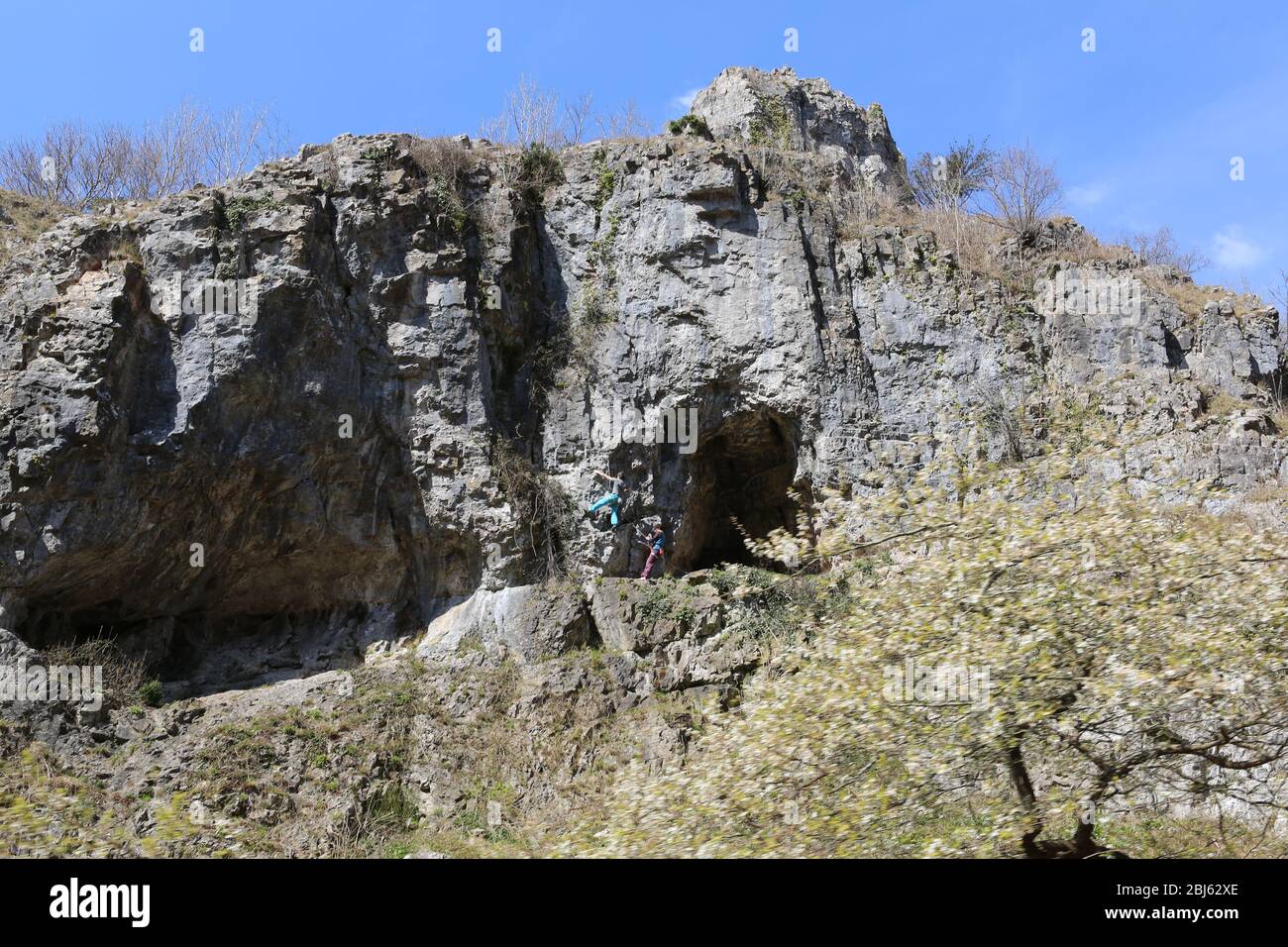 Cheddar Gorge is a limestone gorge in the Mendip Hills , near the ...