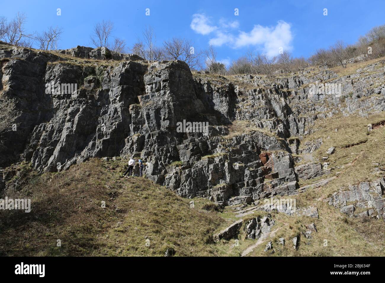 Cheddar Gorge is a limestone gorge in the Mendip Hills , near the ...