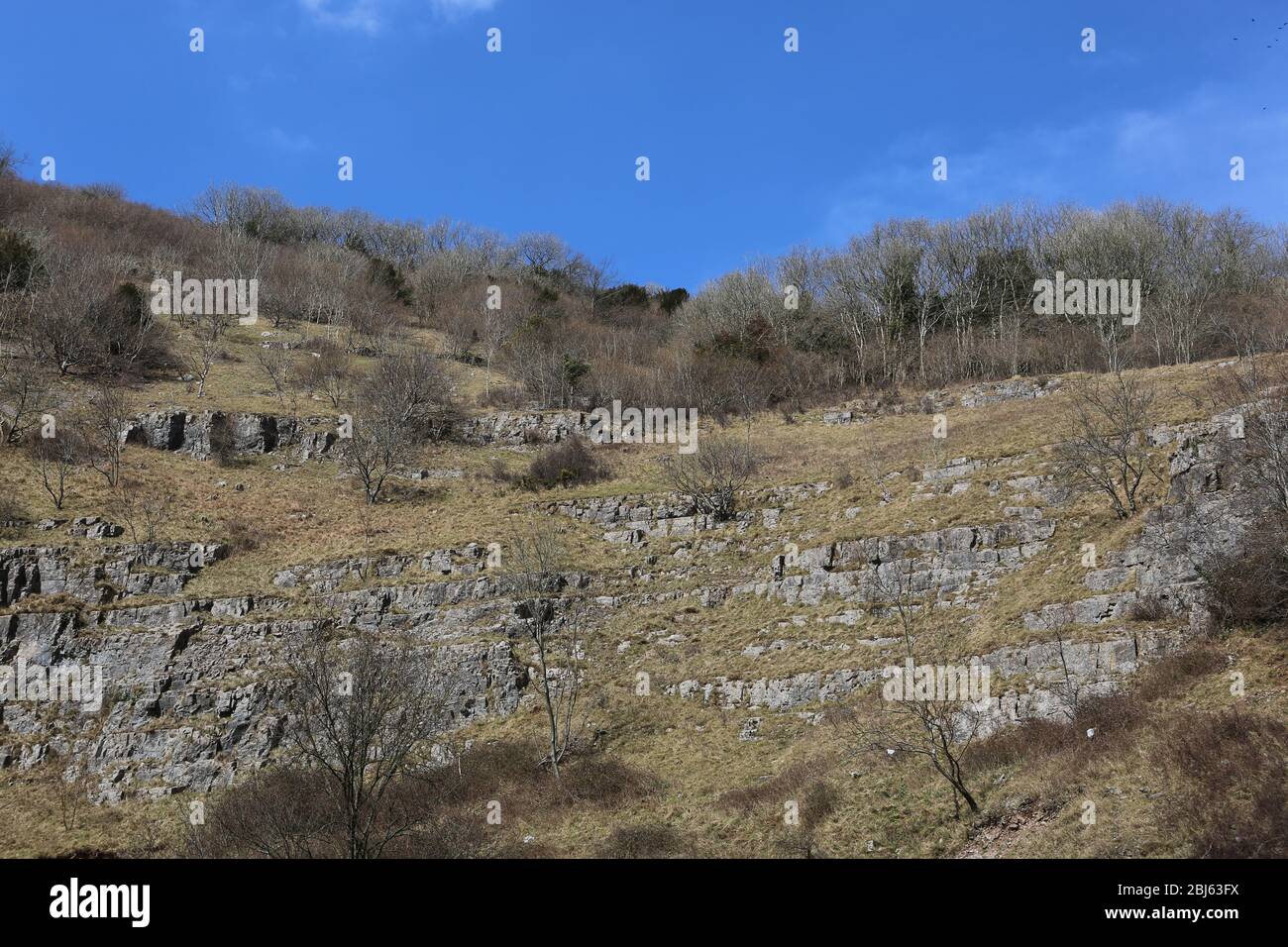 Cheddar Gorge is a limestone gorge in the Mendip Hills , near the ...