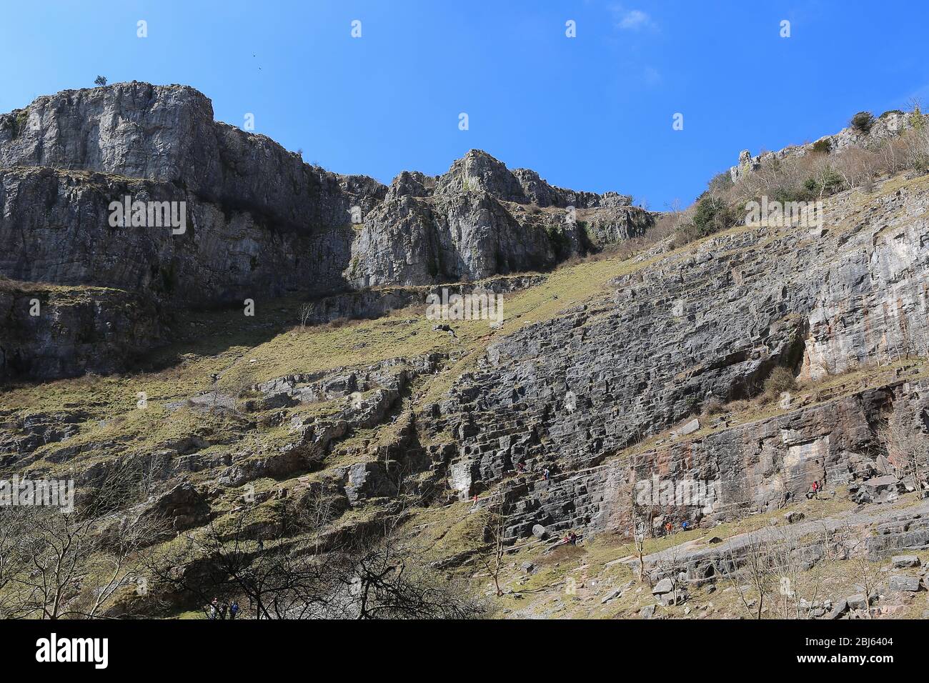 Cheddar Gorge is a limestone gorge in the Mendip Hills , near the ...