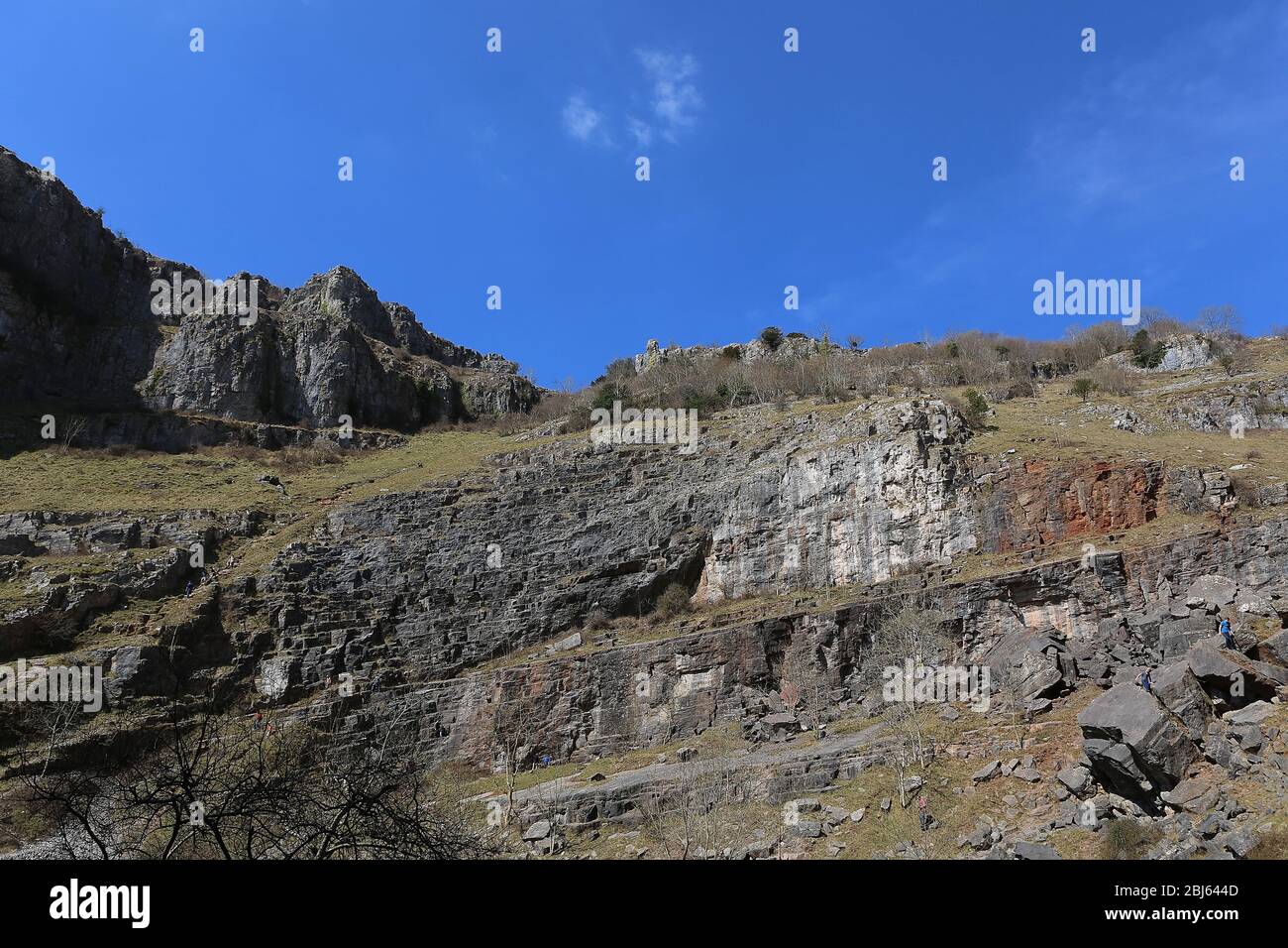 Cheddar Gorge is a limestone gorge in the Mendip Hills , near the ...