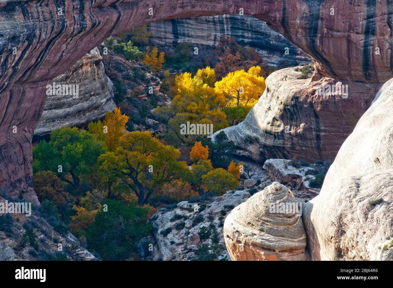 Natural bridges national monument hi-res stock photography and images ...