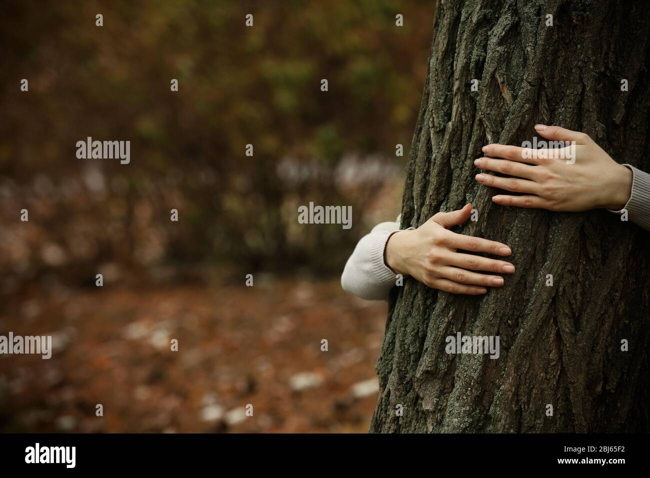 Human hands hugging tree in the park Stock Photo - Alamy