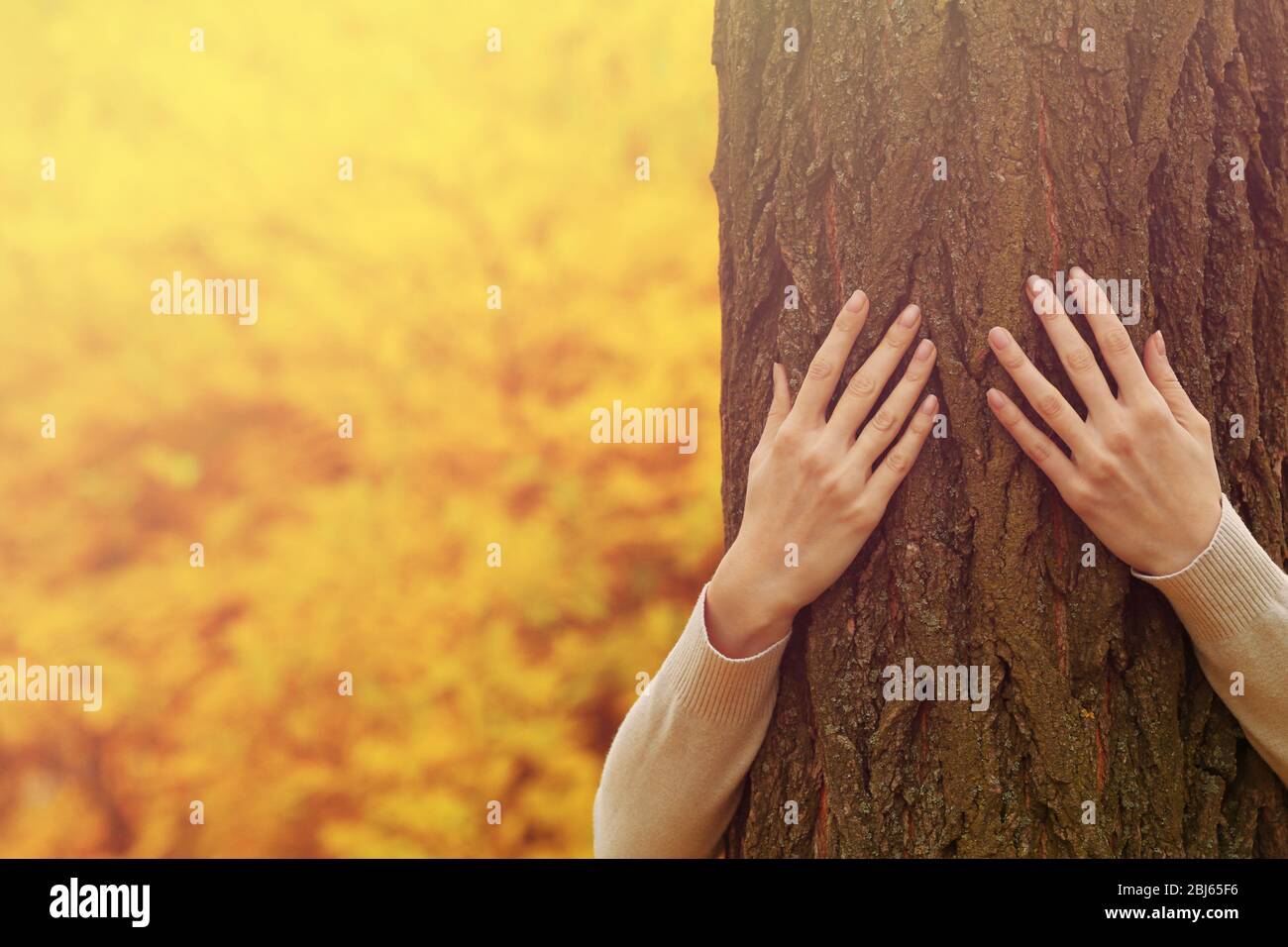 Human hands hugging tree in the park Stock Photo - Alamy