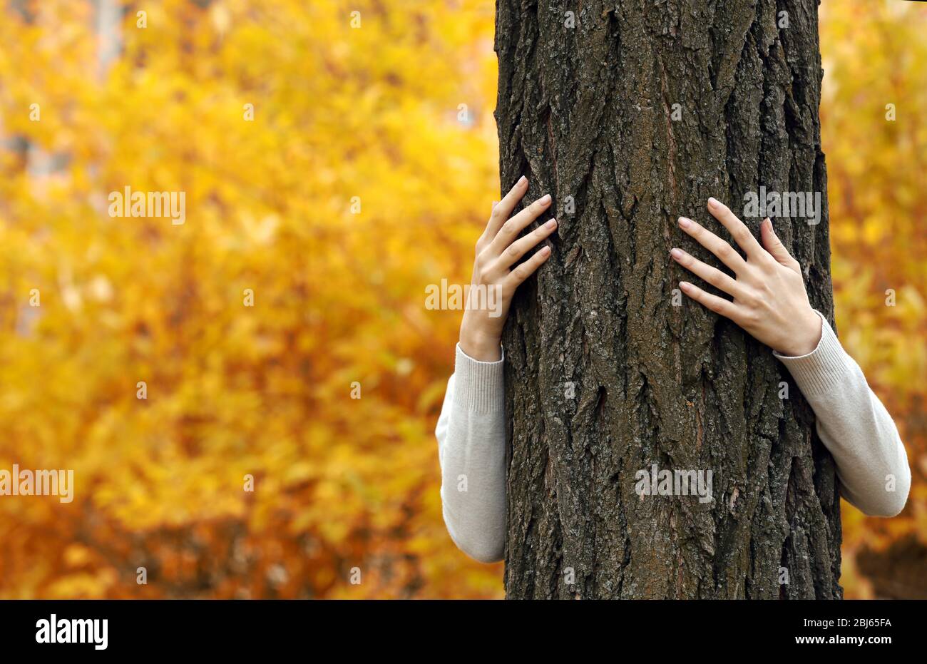 Human hands hugging tree in the park Stock Photo - Alamy