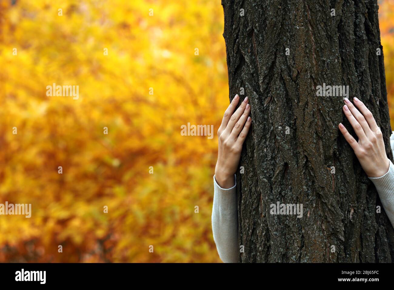Human hands hugging tree in the park Stock Photo - Alamy