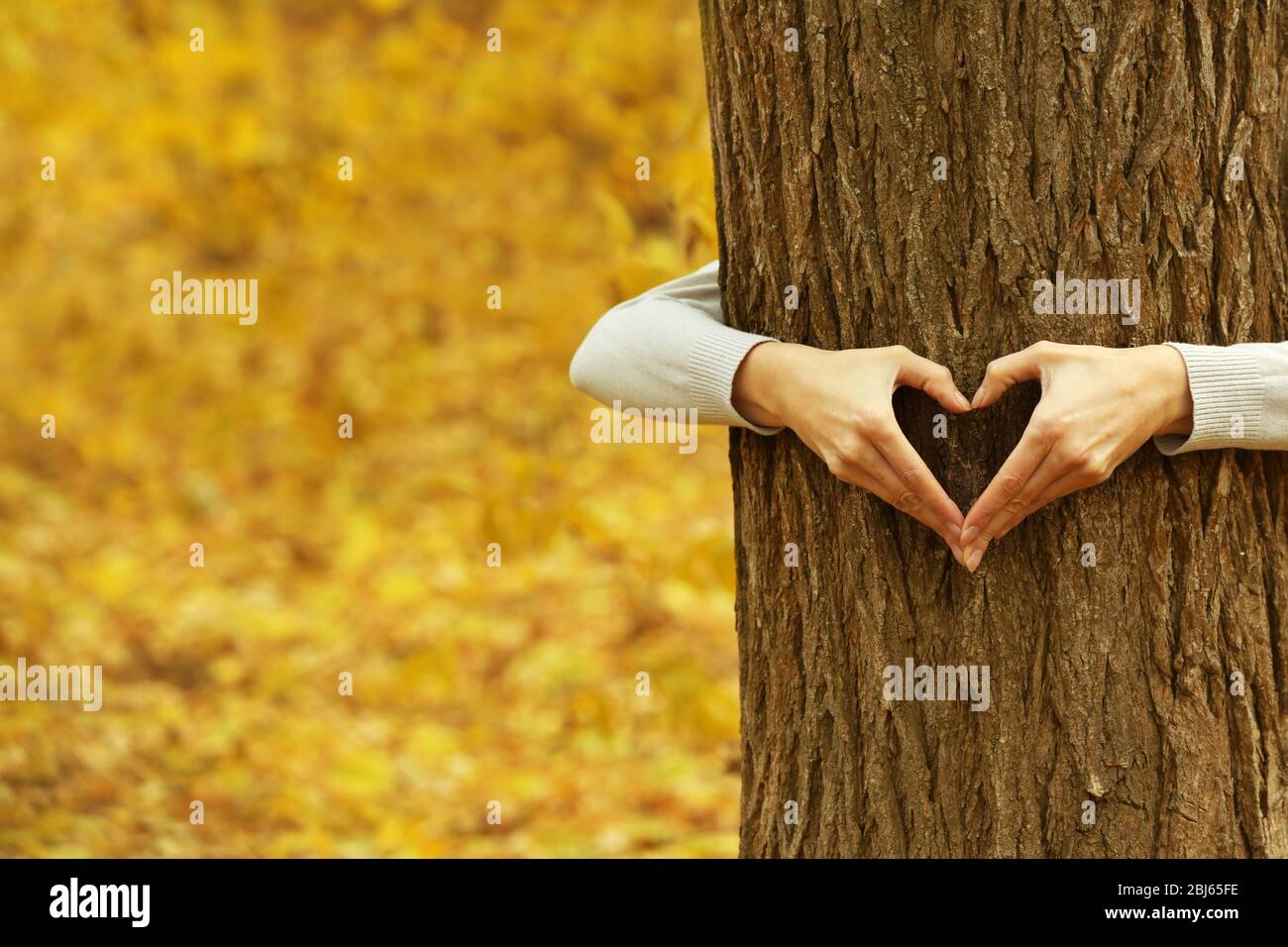 Human hands hugging tree in the park Stock Photo - Alamy