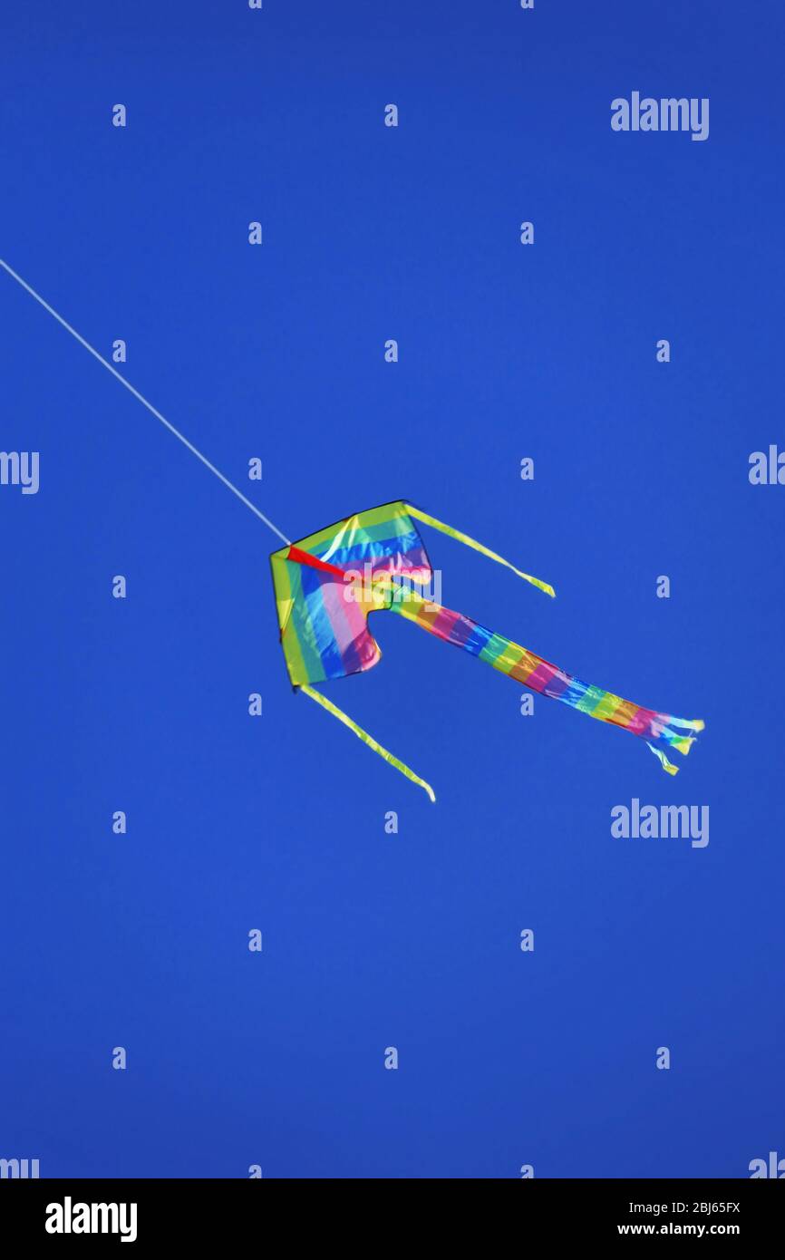 Kite in dark blue sky background Stock Photo - Alamy