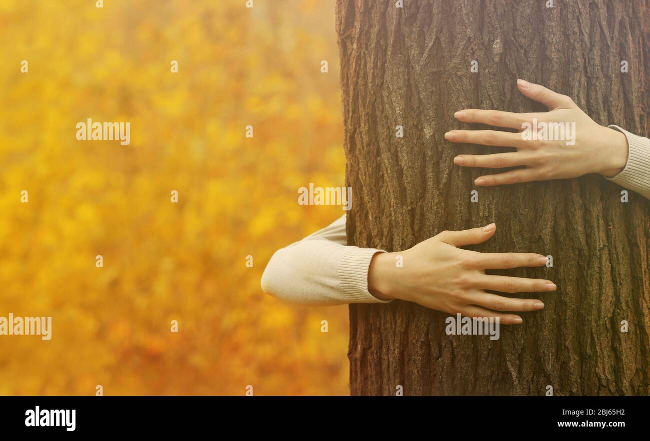 Human hands hugging tree in the park Stock Photo - Alamy