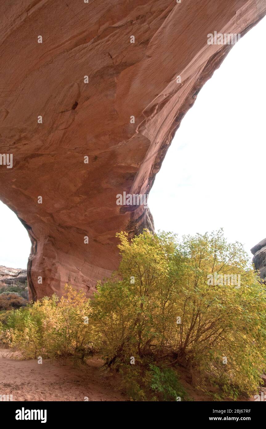Natural bridges national monument hi-res stock photography and images ...