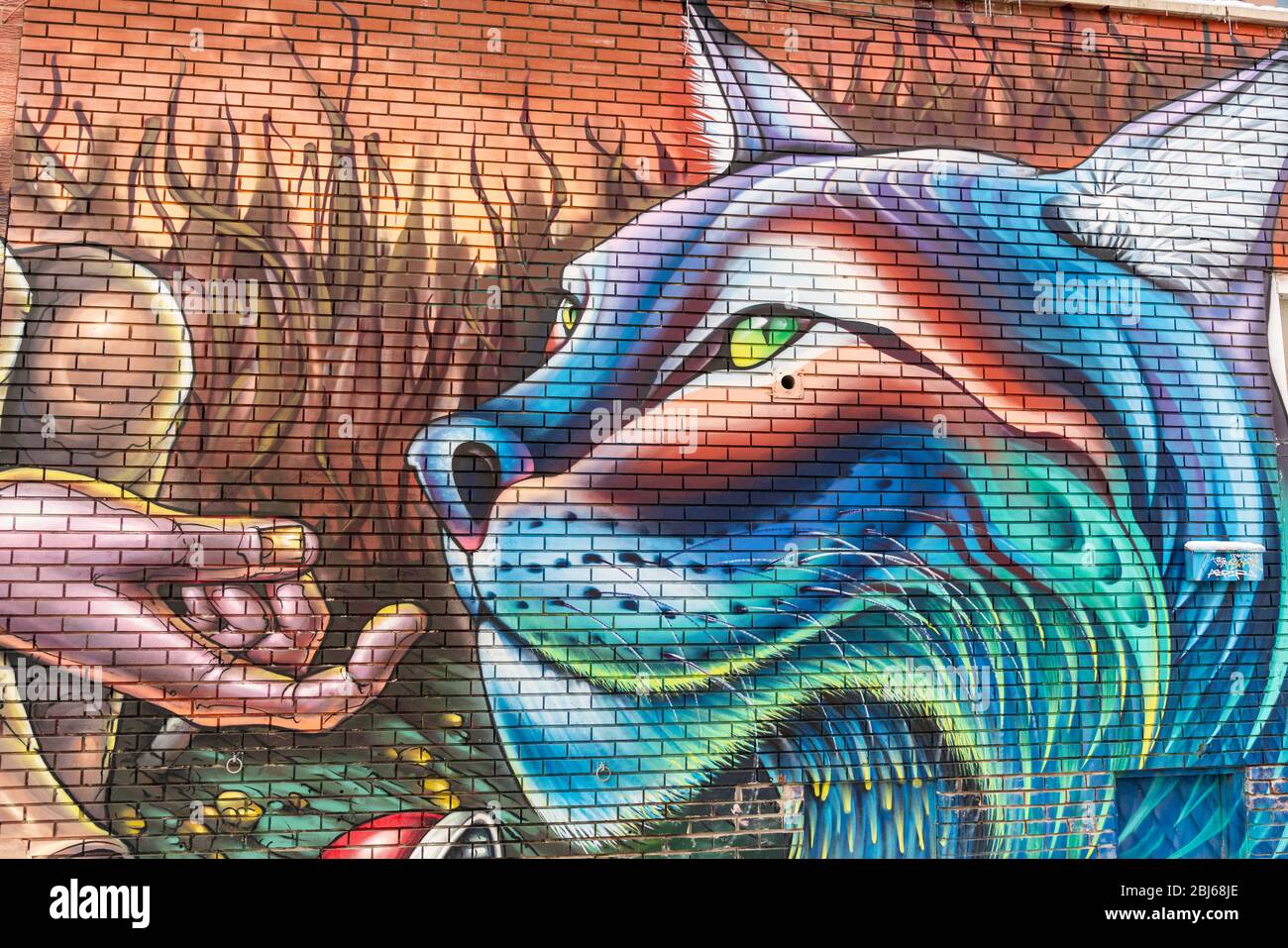 The Lumber Jack and The Lynx Street art in Montreal, Quebec, Canada ...