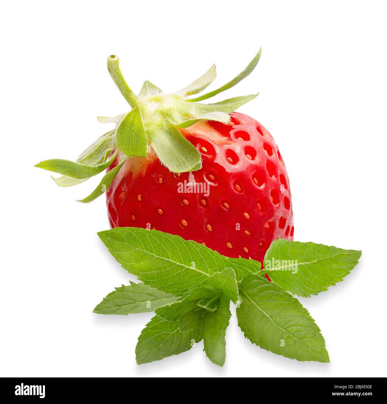 Collage of red strawberry and mint isolated on white background Stock ...