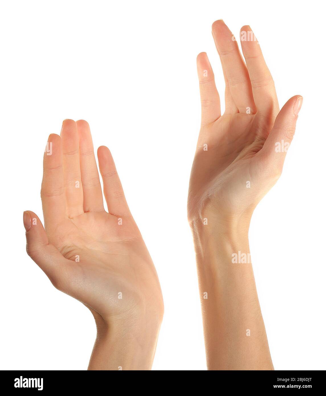 Human hands isolated on white background Stock Photo - Alamy