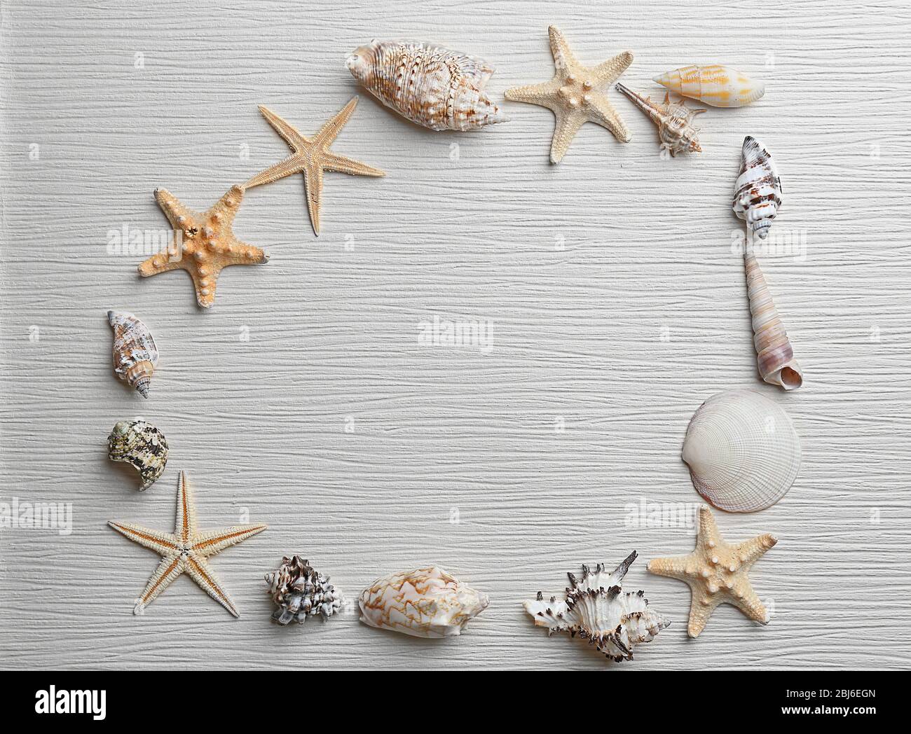 Cone shaped shell hi-res stock photography and images - Alamy