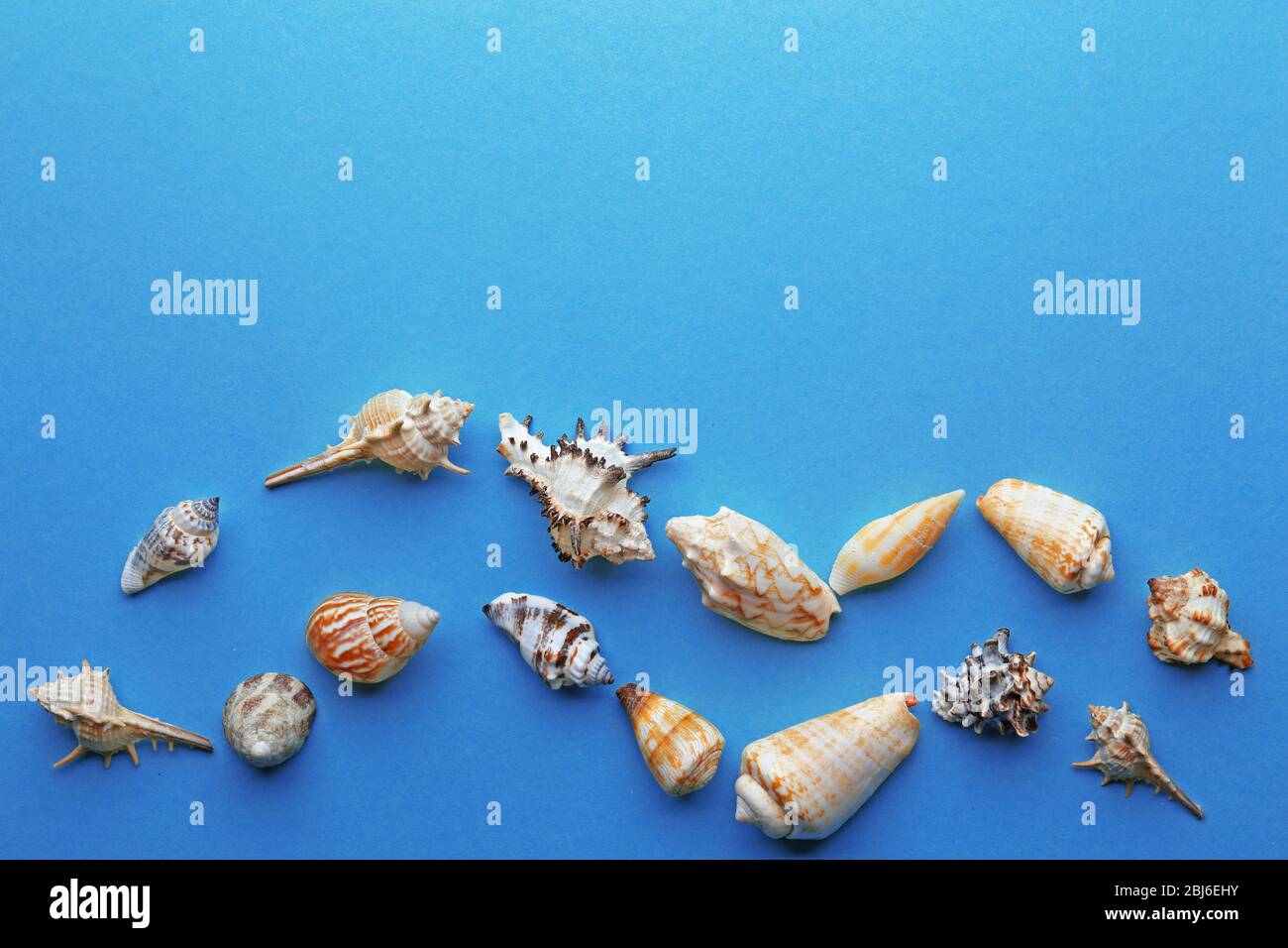 Frame shaped seashells on turquoise background Stock Photo - Alamy