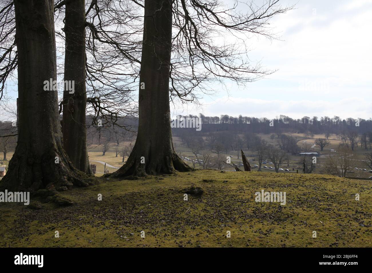 Longleat Safari and adventure Park in Witshire England , was opened in ...