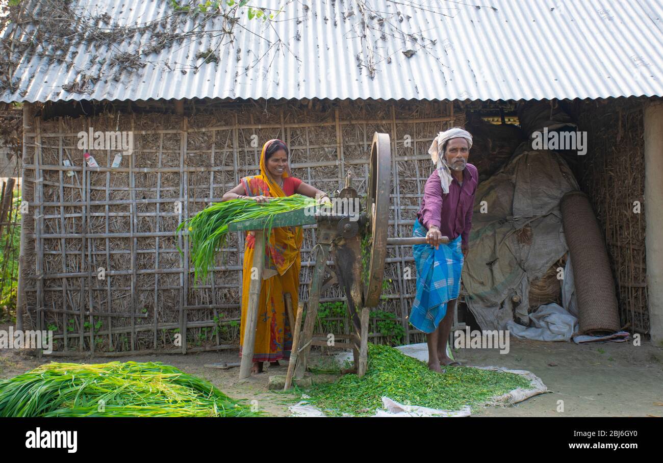 Indian wife feeding husband hi-res stock photography and images - Alamy