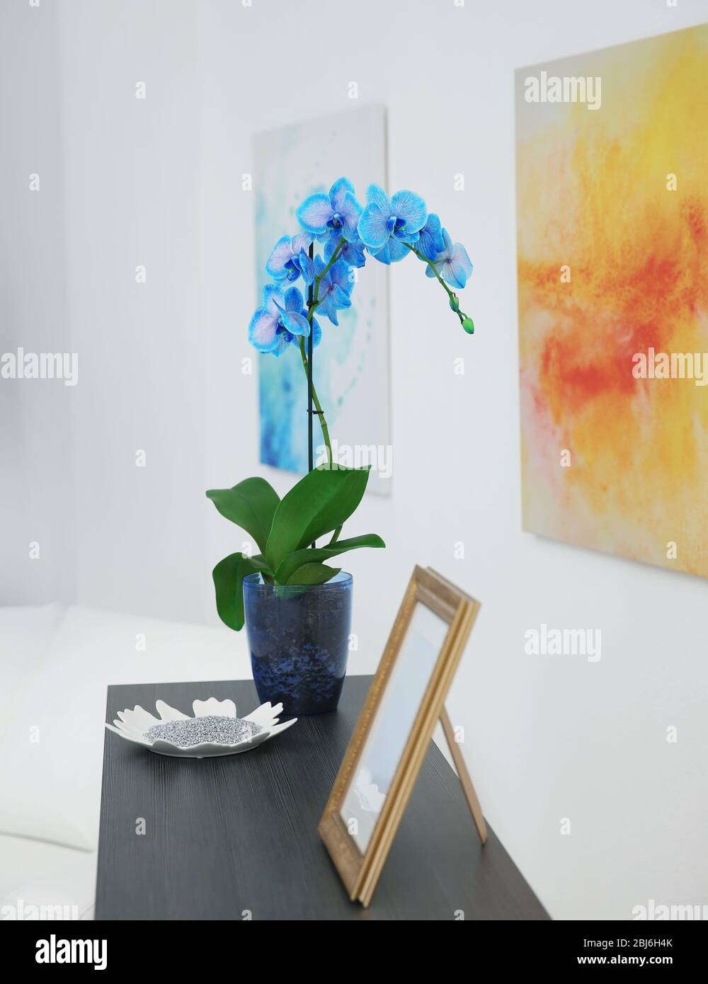 Beautiful blue orchid in interior design Stock Photo - Alamy