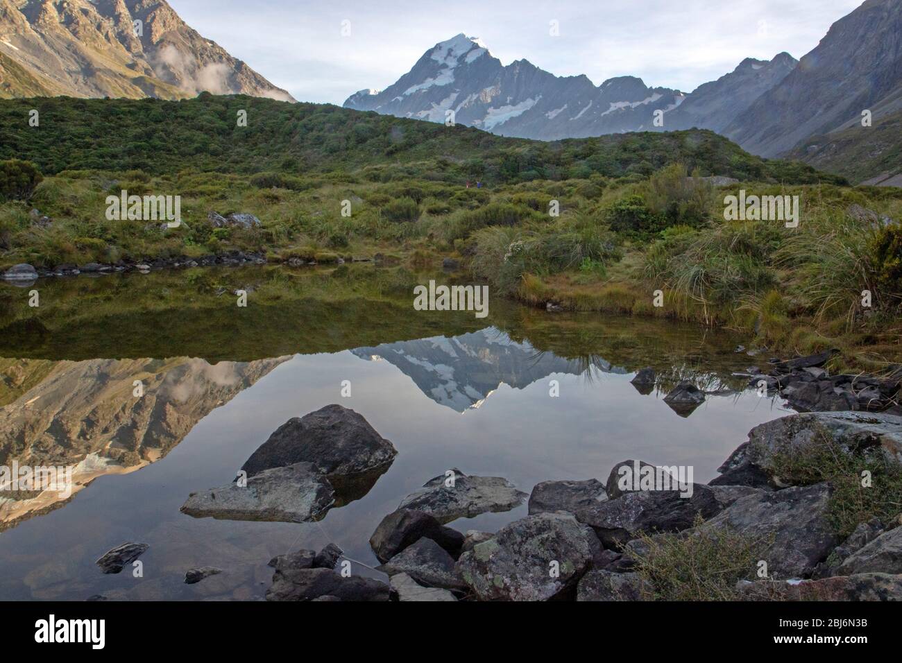 Aoraki/Mt Cook reflected in an alpine tarn Stock Photo - Alamy