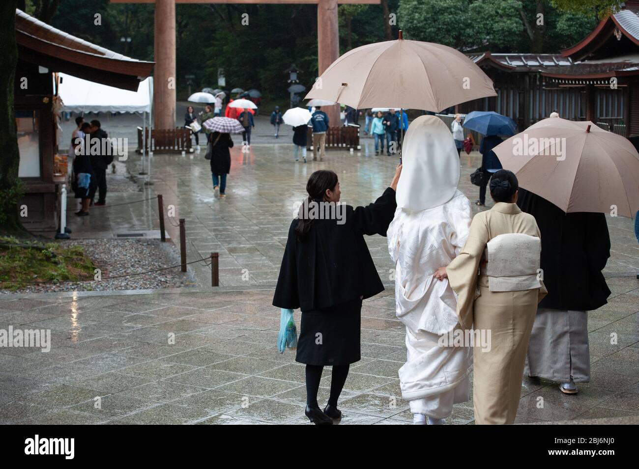 A japanese bride is attended by her mother and her maidens at the Meiji ...