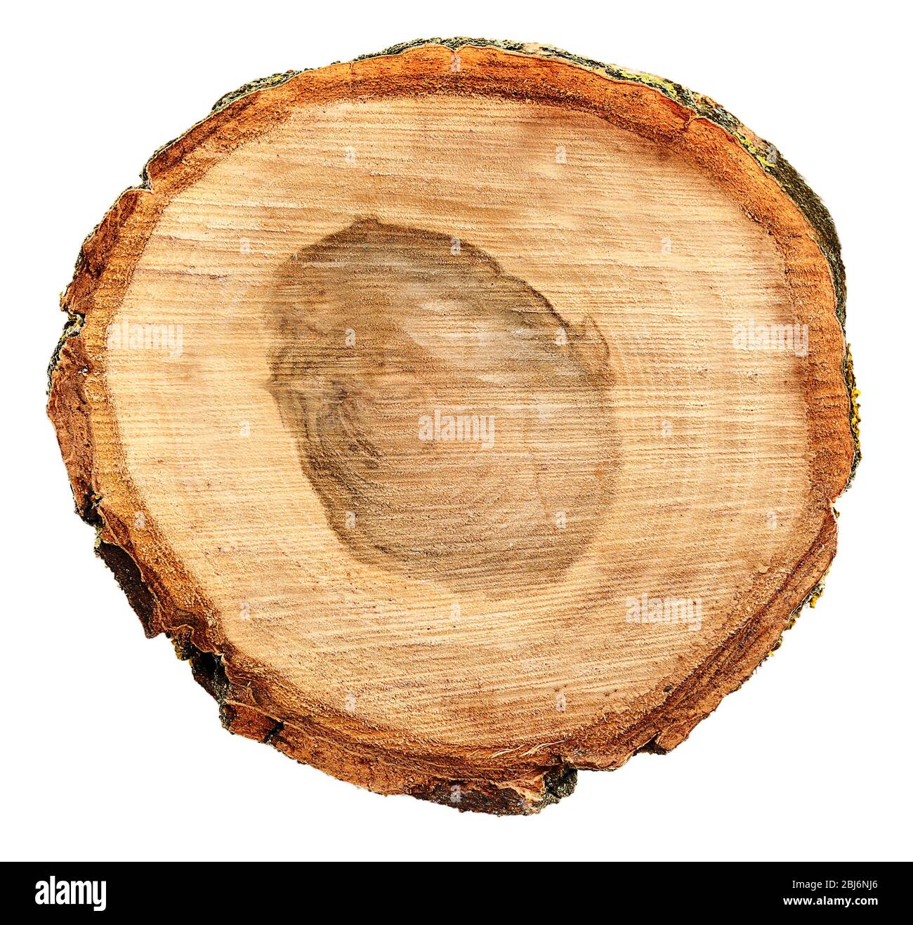 Cross sectional view Cut Out Stock Images & Pictures - Alamy