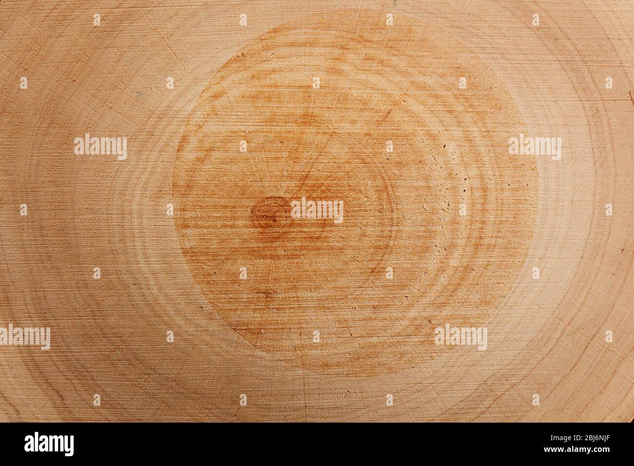Wood round slice, macro Stock Photo - Alamy