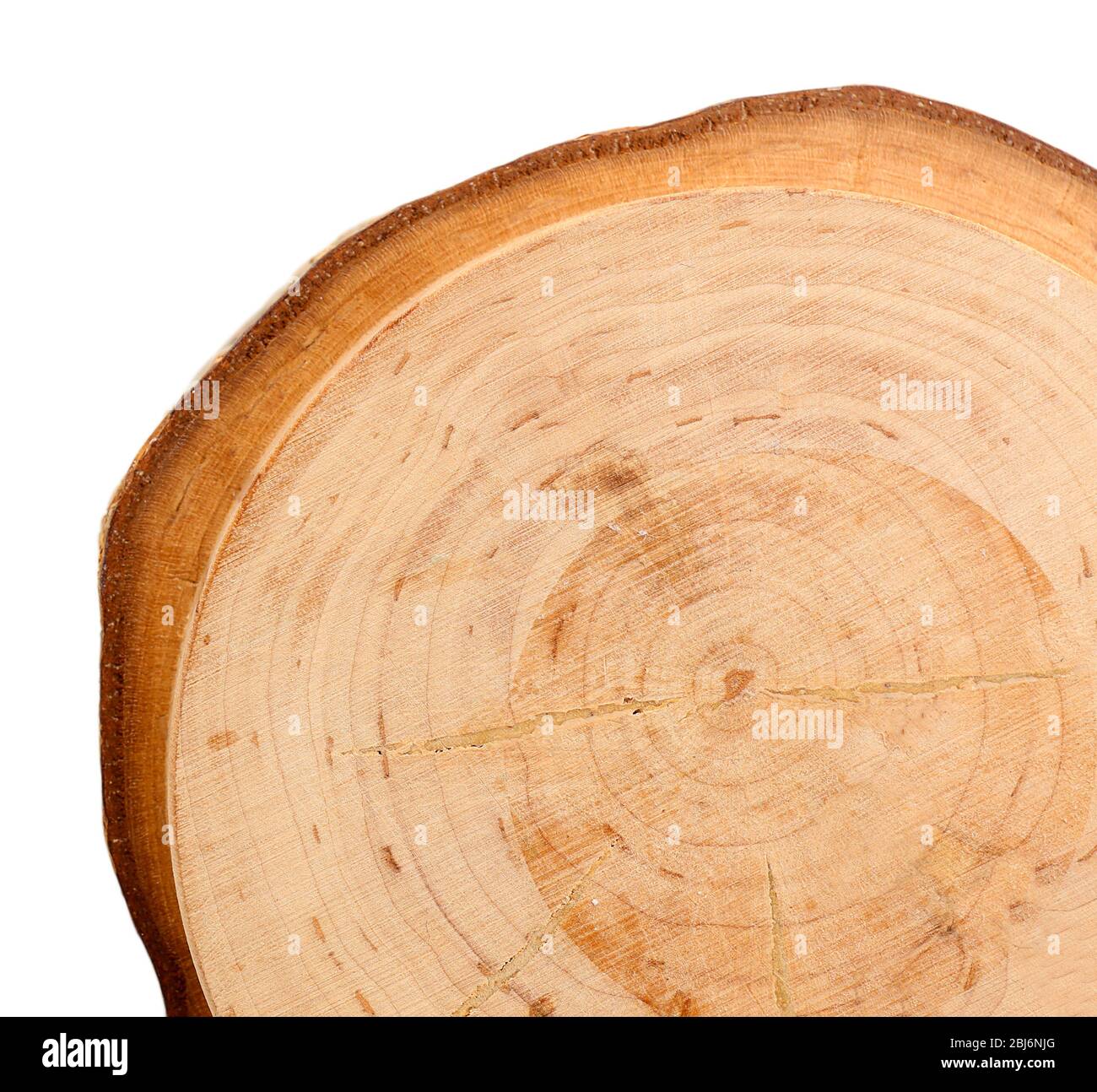 Wood round slice, isolated on white Stock Photo - Alamy