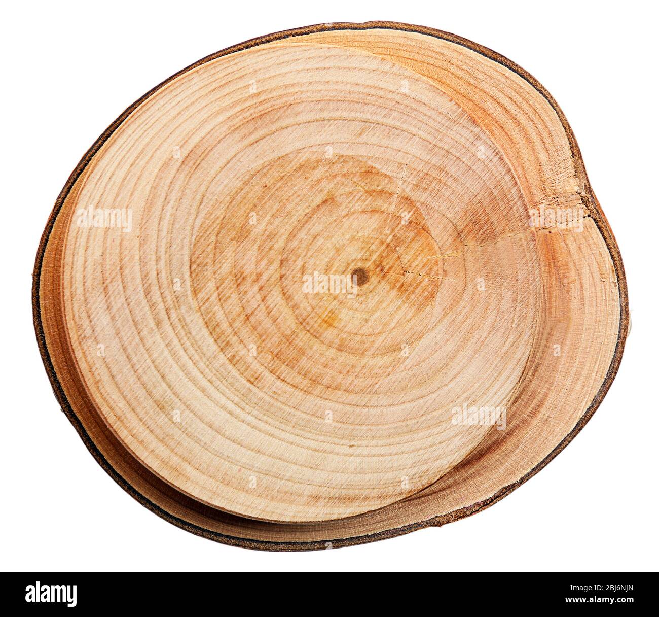 Oak slice Cut Out Stock Images & Pictures - Alamy