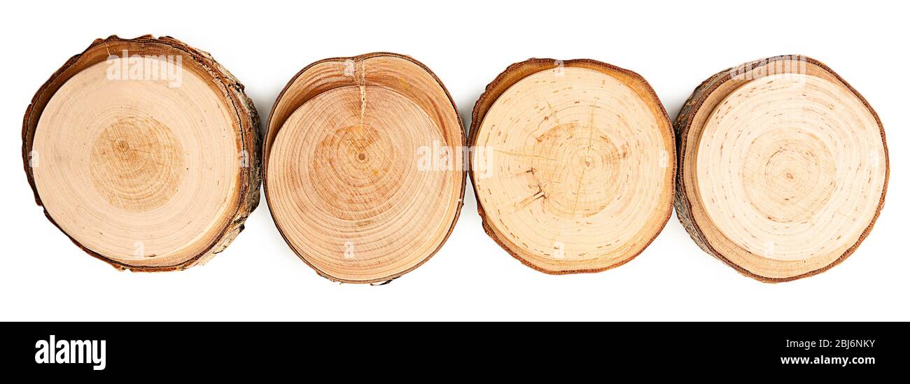 Oak slices Cut Out Stock Images & Pictures - Alamy